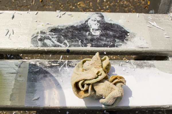 Image Transfer to Furniture using Acrylic Gel Medium