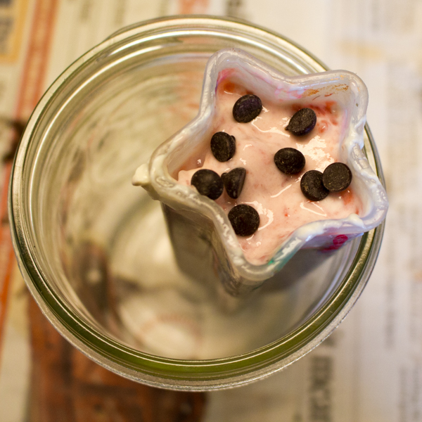 Host a Wholesome Homemade Popsicle Bar • Crafting a Green World