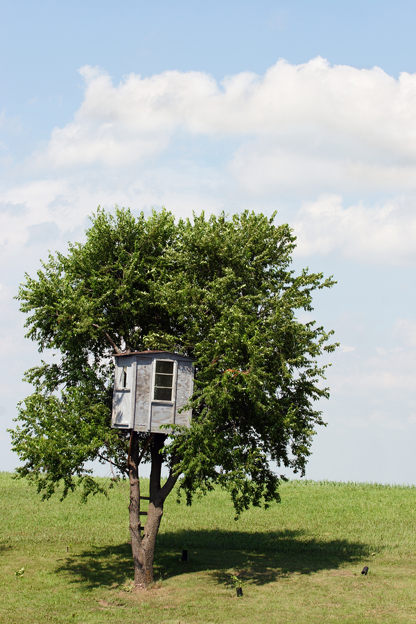 Build a Treehouse this Summer (the right way!)