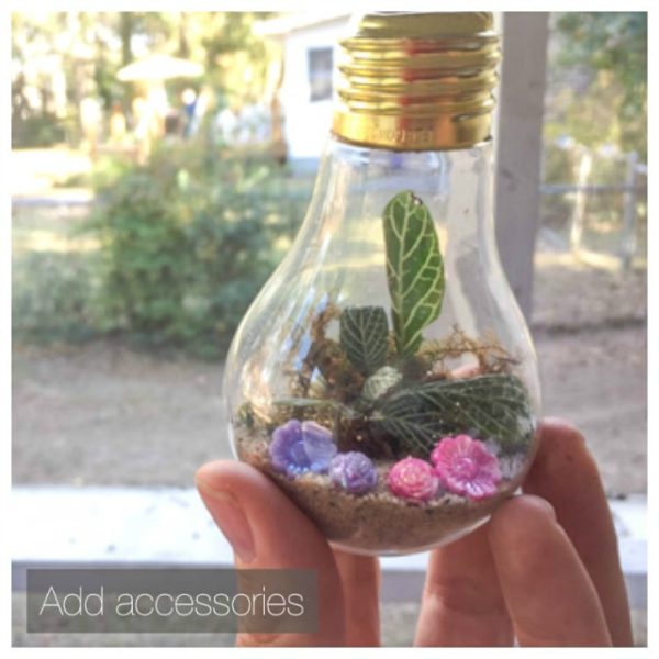 Lightbulb Terrarium Tutorial - Crafting a Green World