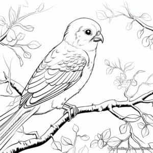 Audubon Bird Coloring Pages - Free & Printable!