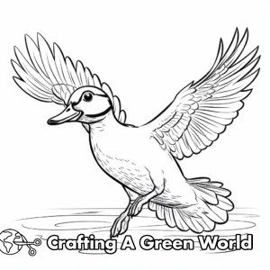 Wood Duck Coloring Pages - Free & Printable!
