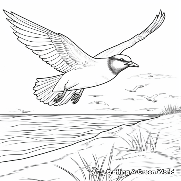 Black Capped Chickadee Coloring Pages - Free & Printable!