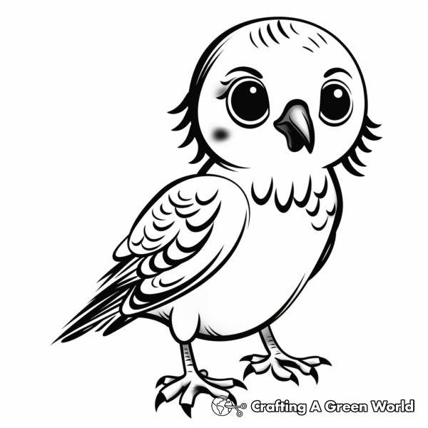 Parakeet Coloring Pages - Free & Printable!