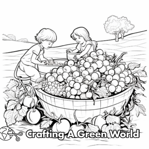Fig Coloring Pages - Free & Printable!