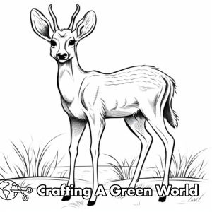Deer Coloring Pages - Free & Printable!