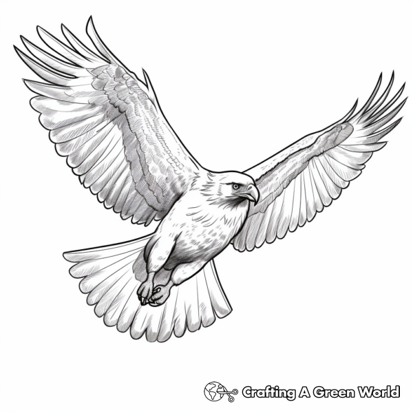 Bald Eagle Coloring Pages - Free & Printable!