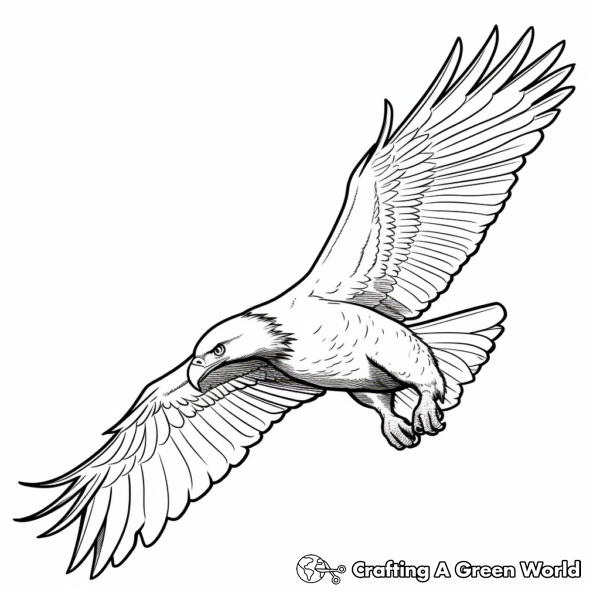 Bald Eagle Coloring Pages - Free & Printable!