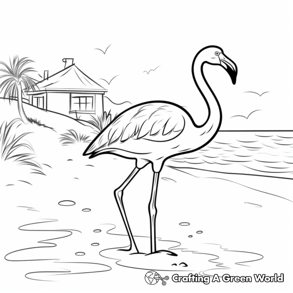 Flamingo Coloring Pages - Free & Printable!