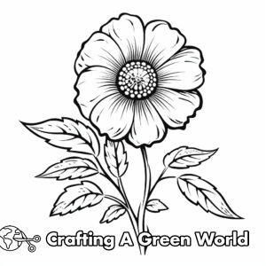 Plant Coloring Pages - Free & Printable!