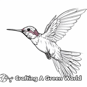 Ruby Throated Hummingbird Coloring Pages - Free & Printable!