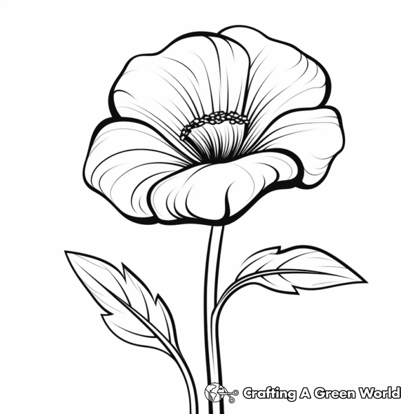 Flower Coloring Pages - Free & Printable!