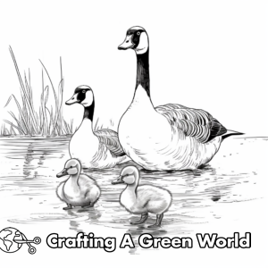 Canada Goose Coloring Pages - Free & Printable!