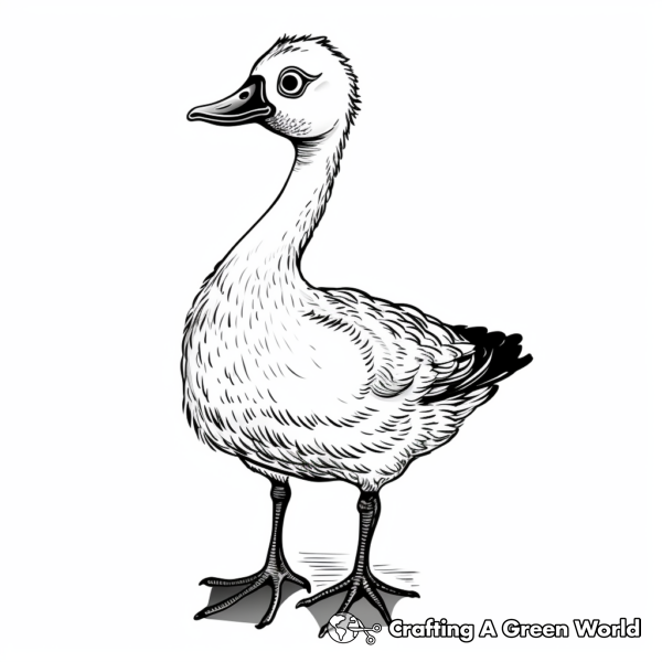 Goose Coloring Pages - Free & Printable!