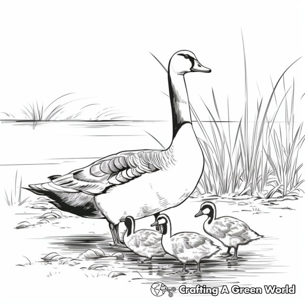 Canada Goose Coloring Pages - Free & Printable!