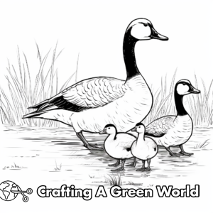 Canada Goose Coloring Pages - Free & Printable!