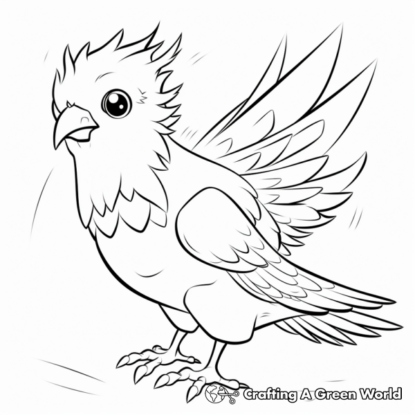 Cockatiel Coloring Pages - Free & Printable!