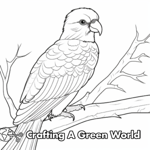Parrot Coloring Pages - Free & Printable!