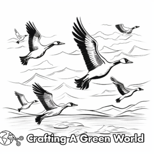 Flying Bird Coloring Pages - Free & Printable!