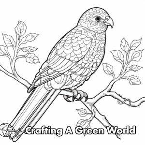 Falcon Coloring Pages - Free & Printable!