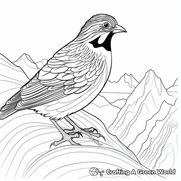 Quail Coloring Pages - Free & Printable!