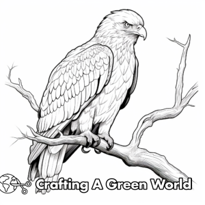 Eagle Adult Coloring Pages - Free & Printable!