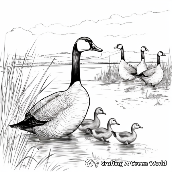 Canada Goose Coloring Pages - Free & Printable!
