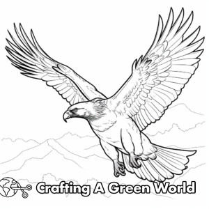 Osprey Coloring Pages - Free & Printable!