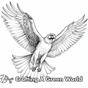 Osprey Coloring Pages - Free & Printable!