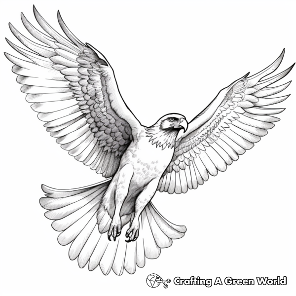 Osprey Coloring Pages - Free & Printable!