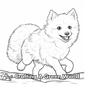 Arctic Fox Coloring Pages - Free & Printable!