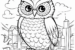 Owl Coloring Pages - Free & Printable!