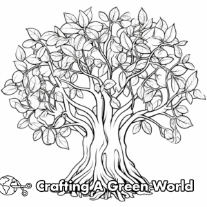 Fig Coloring Pages - Free & Printable!