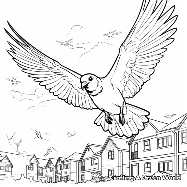 Parakeet Coloring Pages - Free & Printable!