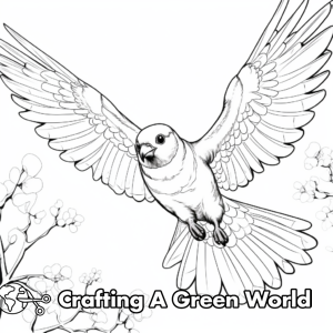 Parakeet Coloring Pages - Free & Printable!