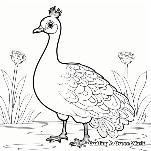 Peacock Coloring Pages - Free & Printable!
