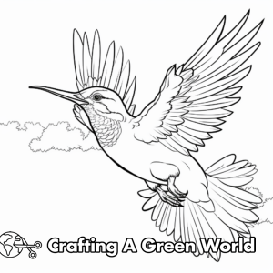 Ruby Throated Hummingbird Coloring Pages - Free & Printable!
