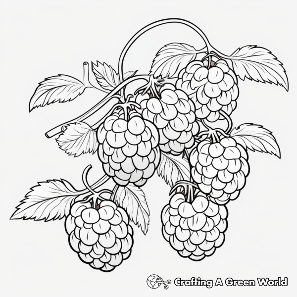 Raspberry Coloring Pages - Free & Printable!