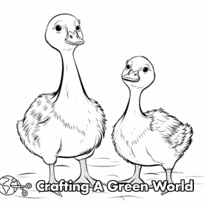 Goose Coloring Pages - Free & Printable!