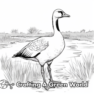 Goose Coloring Pages - Free & Printable!
