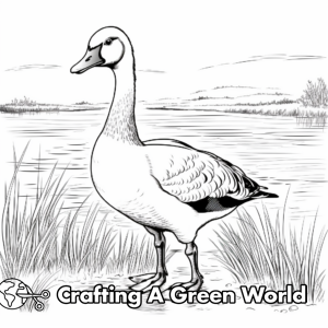 Goose Coloring Pages - Free & Printable!