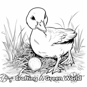 Goose Coloring Pages - Free & Printable!