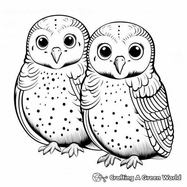 Budgie Coloring Pages - Free & Printable!