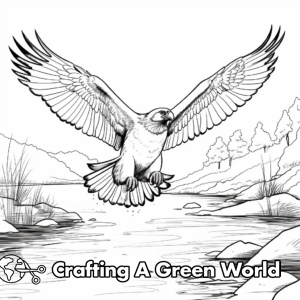 Osprey Coloring Pages - Free & Printable!