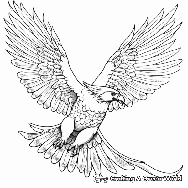 Osprey Coloring Pages - Free & Printable!
