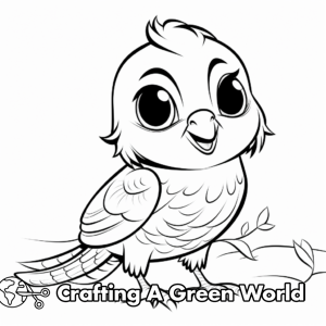 Parakeet Coloring Pages - Free & Printable!