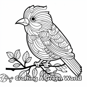 Winter Birds Coloring Pages - Free & Printable!