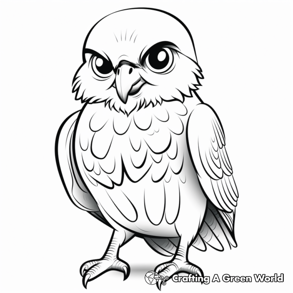 Falcon Coloring Pages - Free & Printable!