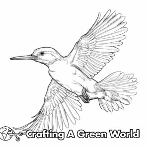 Bird Coloring Pages - Free & Printable!