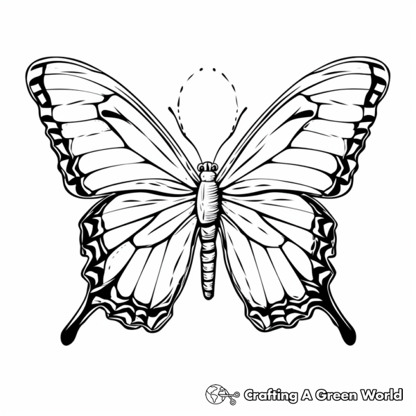 Butterfly Coloring Pages - Free & Printable!